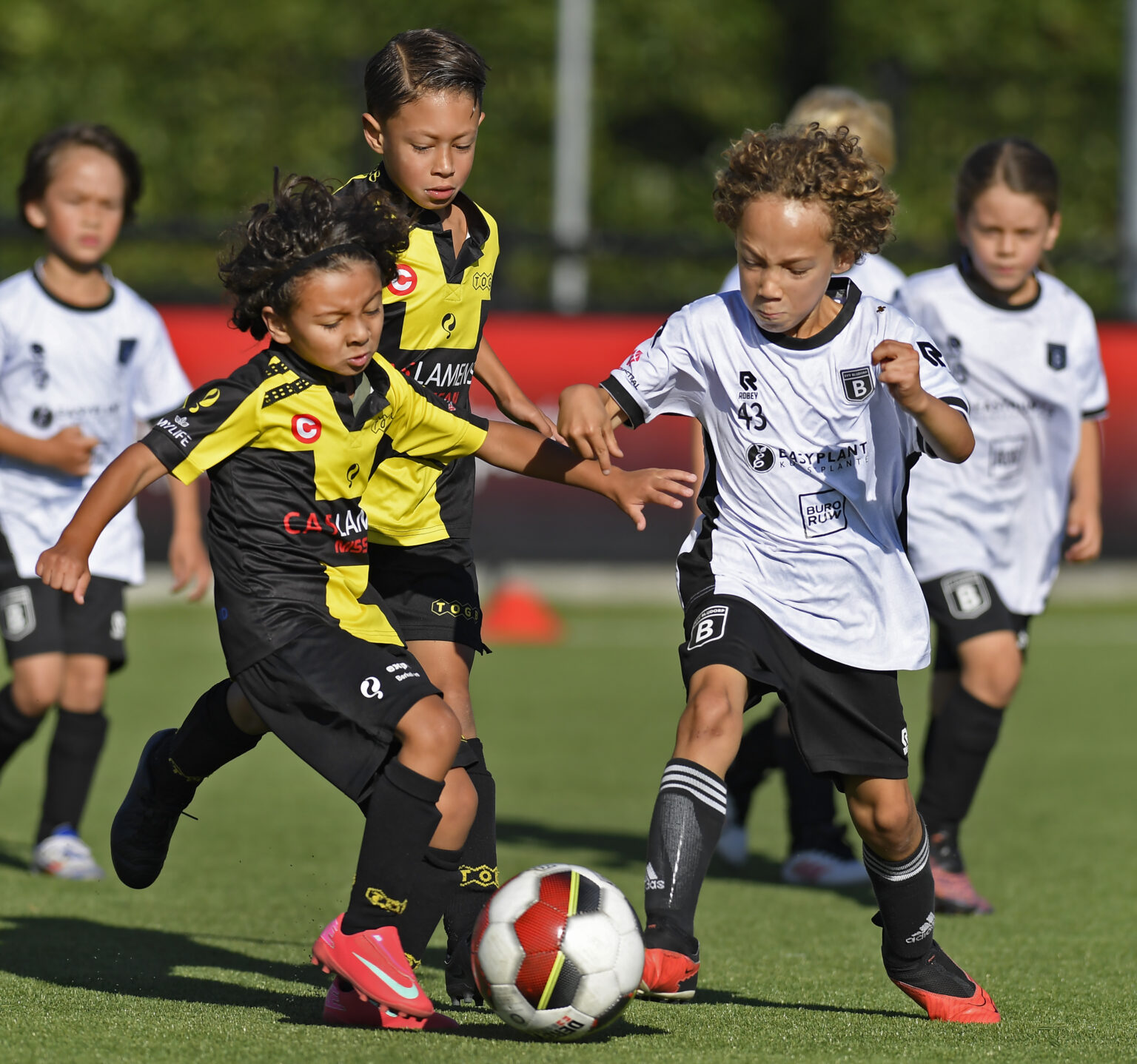 Sparta Rotterdam Cup voor JO8 teams | Sparta Rotterdam